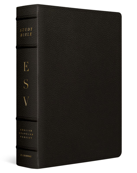 ESV Study Bible, Large Print (Trellis) by